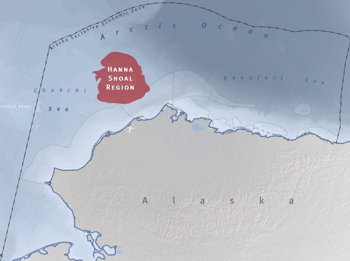 Hanna Shoal: An Icy Haven for Arctic Sea Animals That Staves off ...