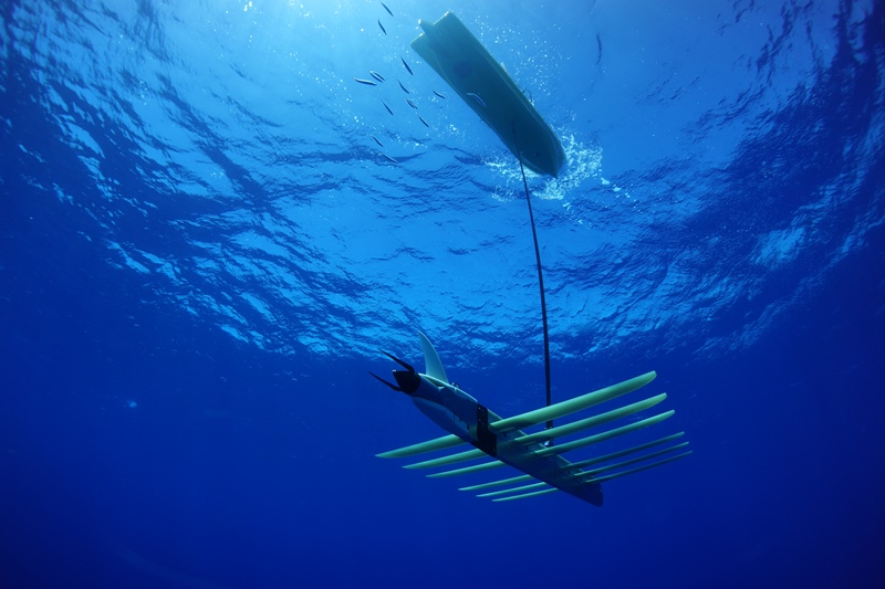 Network Effect: The Robots, Sensors and Satellites Digitizing — Oceans ...