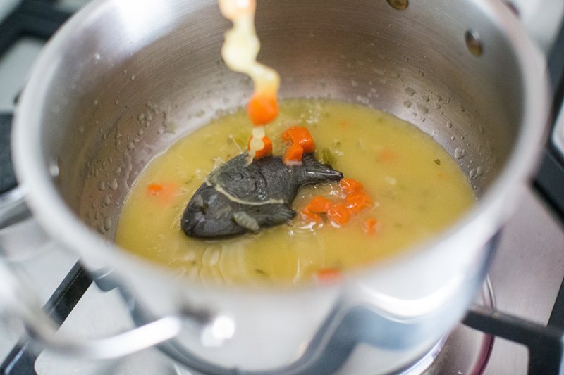 Lucky Iron Fish Raise Questions About How Best to Address ...