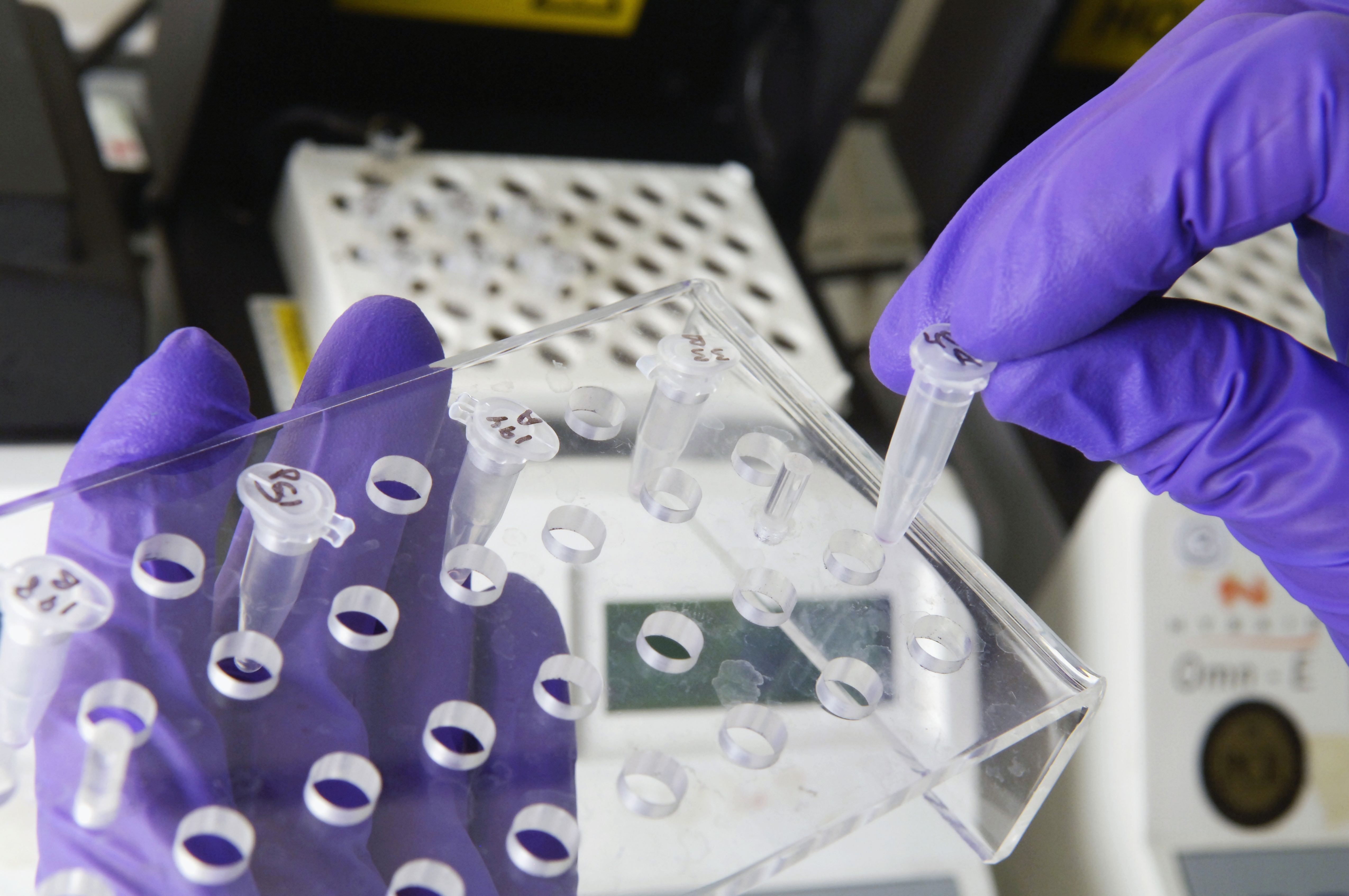 Sometimes We Really Need Single-Use Plastics — Oceans Deeply